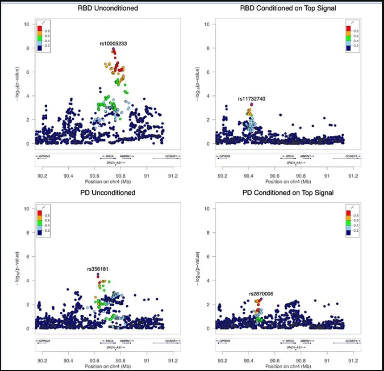 RBD & OTHER SYNUCLEINOPATHIES (DLB and MSA) – Nap Med